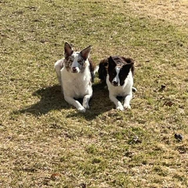 Heather Lessard and Chad Corsi's Wedding Registry on Zola