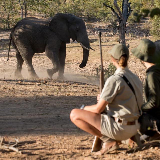 Grace Heck and Peter Ucciferro's Wedding Registry on Zola