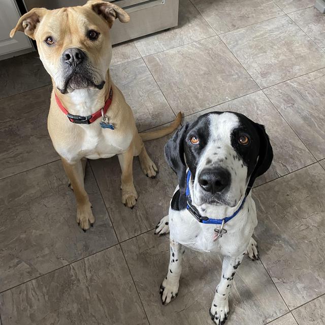 Ashley Stegall and Stephen Hopson's Wedding Registry on Zola