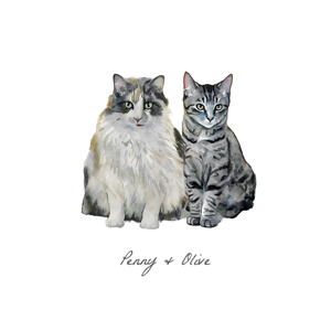 Hannah Hoyle and Daniel Mcdonald's Wedding Registry on Zola