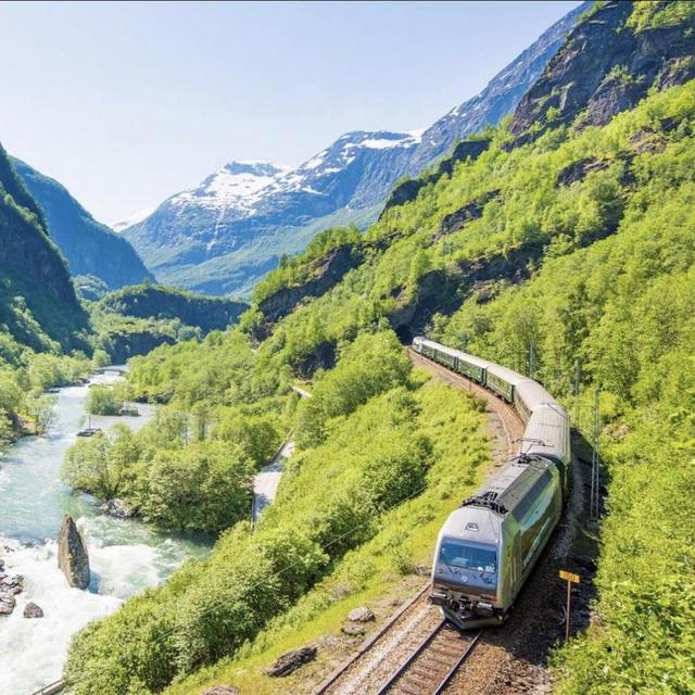 Haley Naig and Jack Rohde's Wedding Registry on Zola