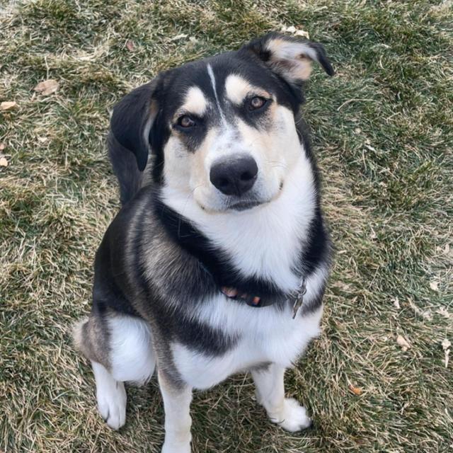 Emma Lemke and Jacob Rabichev's Wedding Registry on Zola