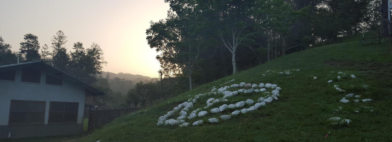 Jacob Boesch and Marianne Collard's Wedding Registry on Zola