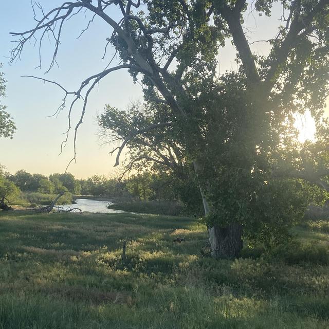 Jolynn Sakugawa and Jake Lumpkin's Wedding Registry on Zola