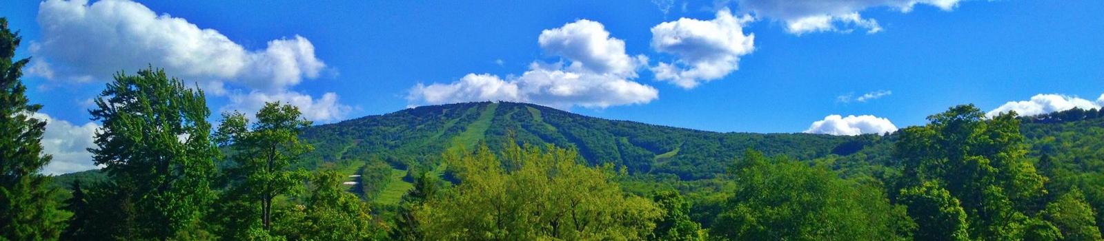 Heidi Jessop and James Maund's Wedding Registry on Zola