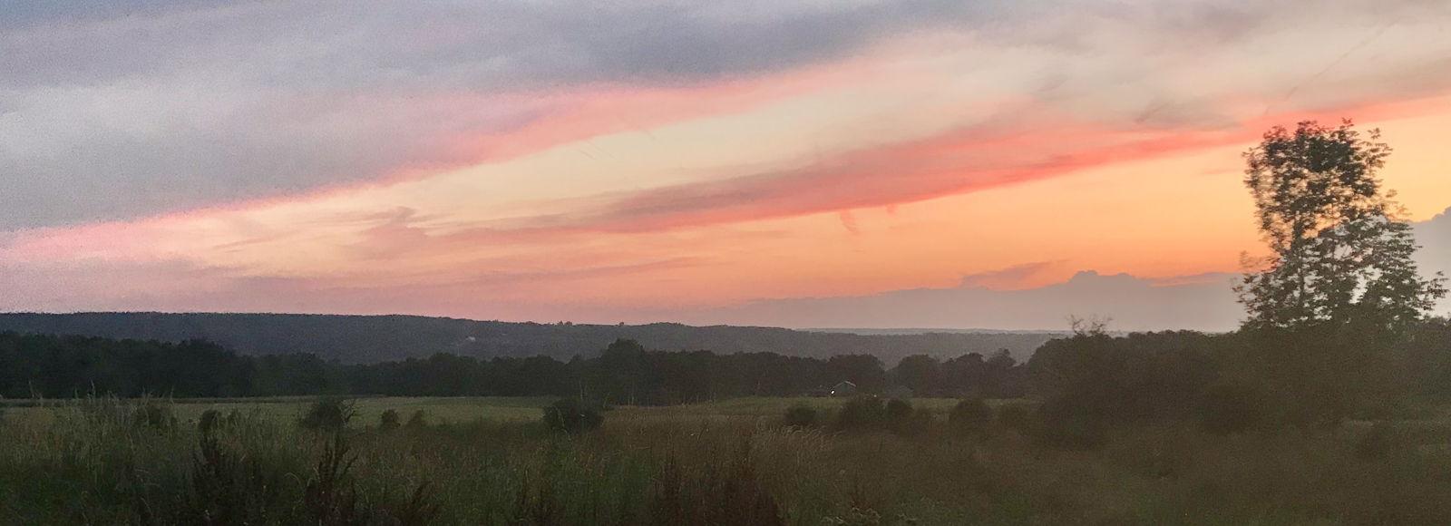 Shelby Jenkins and Jesse Pyle's Wedding Registry on Zola