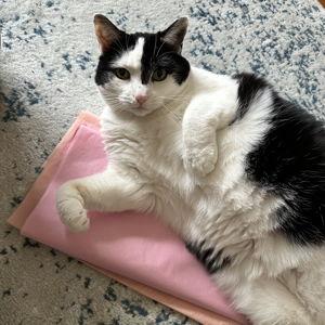 Joelle Connor and Jedd Mason's Wedding Registry on Zola