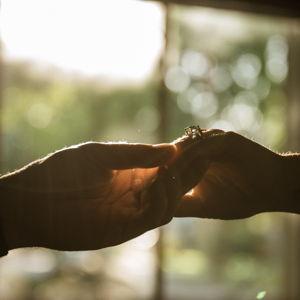Gabriella Turner and John Long's Wedding Registry on Zola