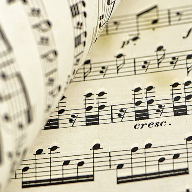 Jon Haile and Karni Zemel's Wedding Registry on Zola