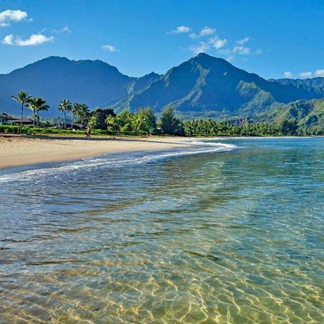 Jordan Palkovich and Blake Brunn's Wedding Registry on Zola