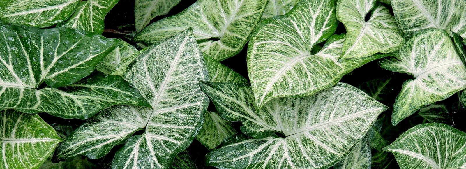 Jordan Fierley and Porter Black's Wedding Registry on Zola