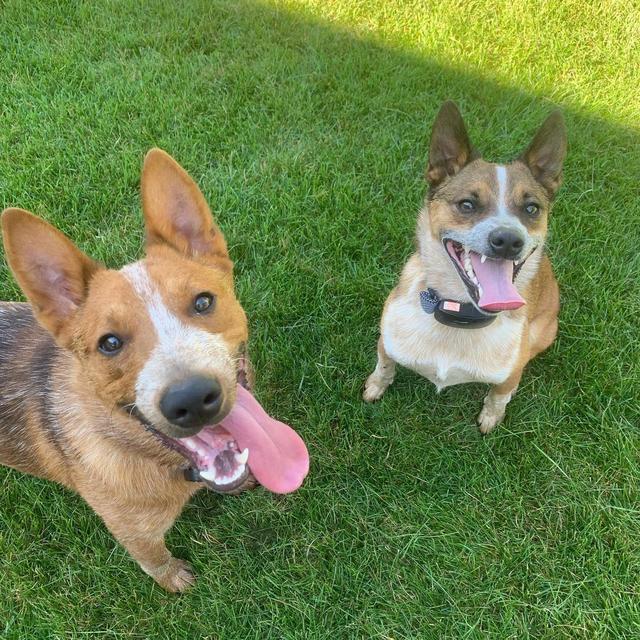 Josephine Eberle and Brett Nettesheim's Wedding Registry on Zola