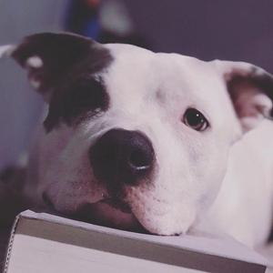 joylee lacy and Richard Beebe's Wedding Registry on Zola