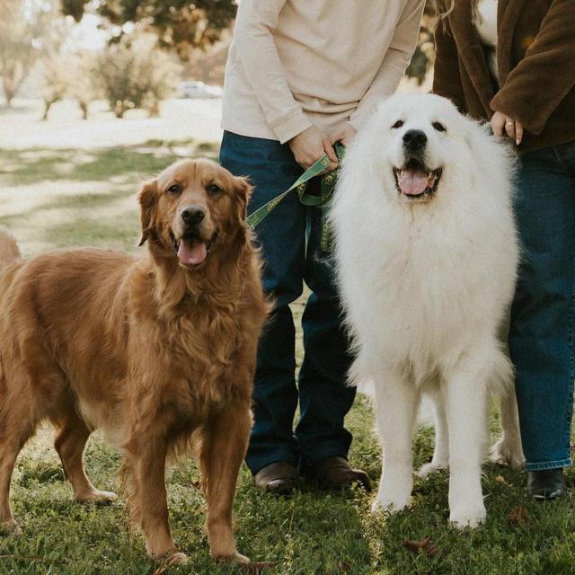 Jenna Heitz and Justin Bradshaw's Wedding Registry on Zola