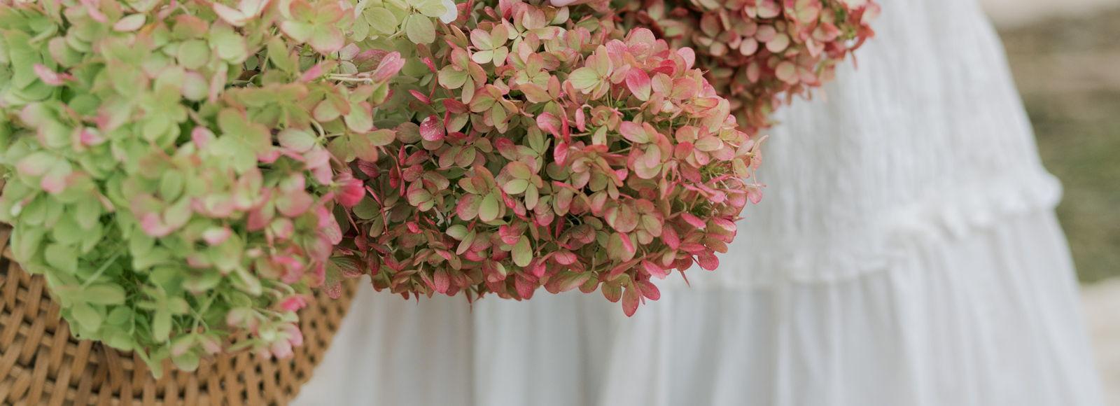 Katie Clark and Collin Keating's Wedding Registry on Zola