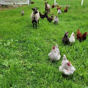 Ken Cargill and Travis Slater's Wedding Registry on Zola