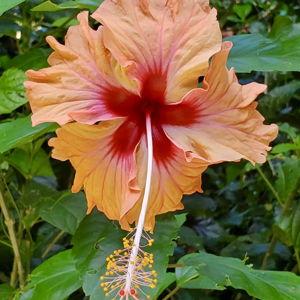 Kevin Cirba and Kate Remsen's Wedding Registry on Zola