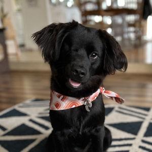 Kyle Bauer and Alexandra Wilson's Wedding Registry on Zola