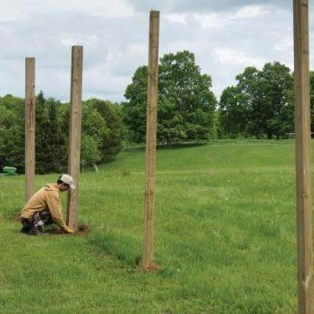 Laine Yandell and Jacob Burdick's Wedding Registry on Zola