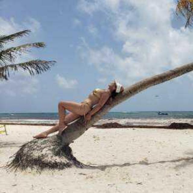 Larisa Li and Timothy Cross's Wedding Registry on Zola