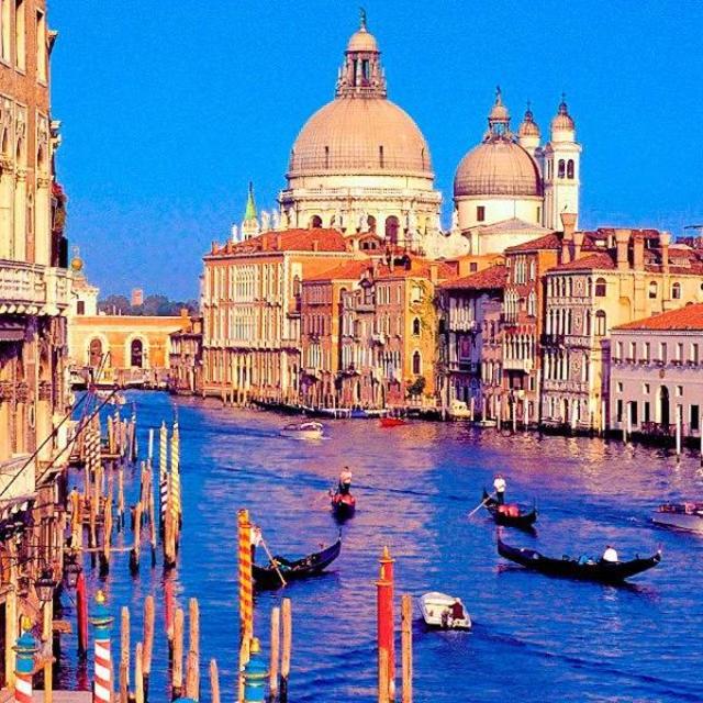 Laura Safran and Scott Kimmelman's Wedding Registry on Zola