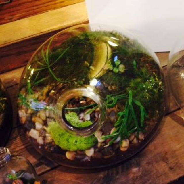 Laura Safran and Scott Kimmelman's Wedding Registry on Zola