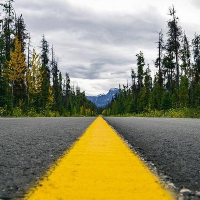 Lauren Land and Aaron Borenstein's Wedding Registry on Zola