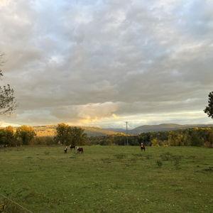 Lea Reagan and Alex Teeter's Wedding Registry on Zola