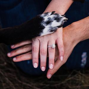Sarah Etling and Matt Leupold's Wedding Registry on Zola