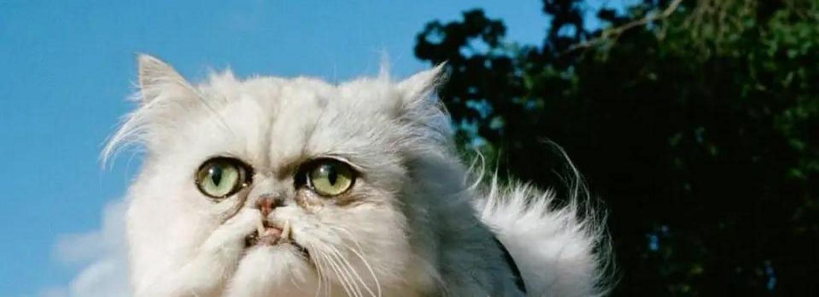 Lia Wesp and Richard Russell's Wedding Registry on Zola