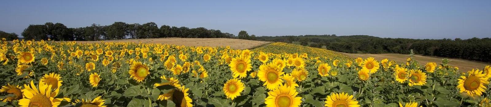 Lissy DeSantis and James Rohrbach's Wedding Registry on Zola