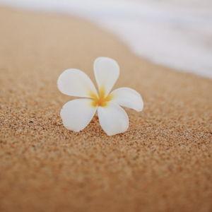 Liz Kramer and Jack Anderton's Wedding Registry on Zola