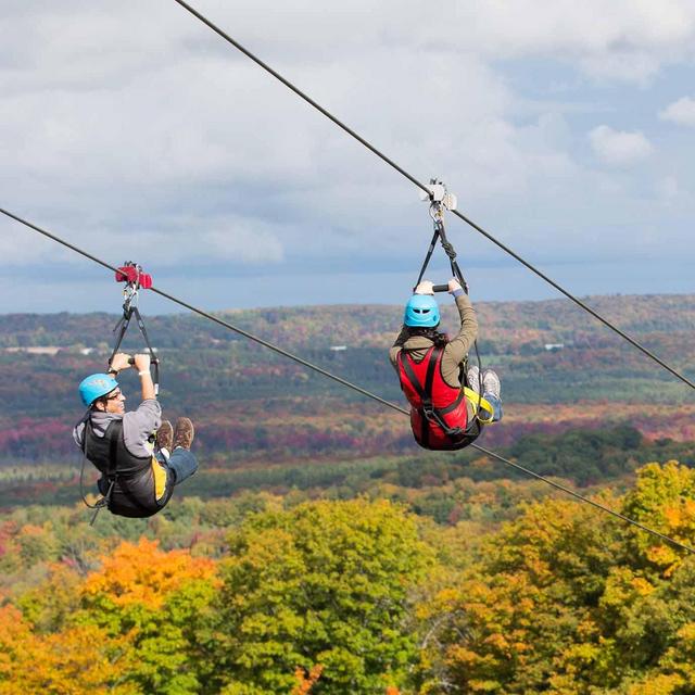 Lydia Odlin and Tommy Simrill's Wedding Registry on Zola