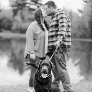 Mackenzie Sharpe and Zachary Snell's Wedding Registry on Zola