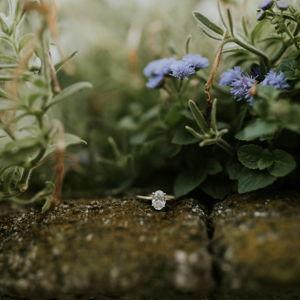 Madalyn Brashear and Alex Alvey's Wedding Registry on Zola