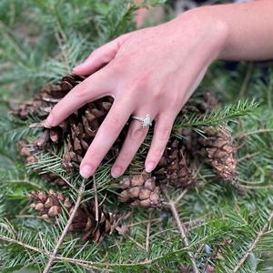 Madilyn Jones and Mitchell Hibbert's Wedding Registry on Zola