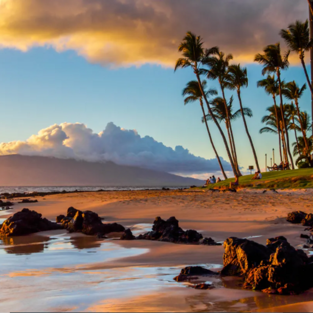 Malika McCoy and Dorien Murphy's Wedding Registry on Zola