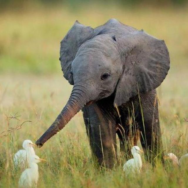 Marc Barbero and Anna Giralt's Wedding Registry on Zola