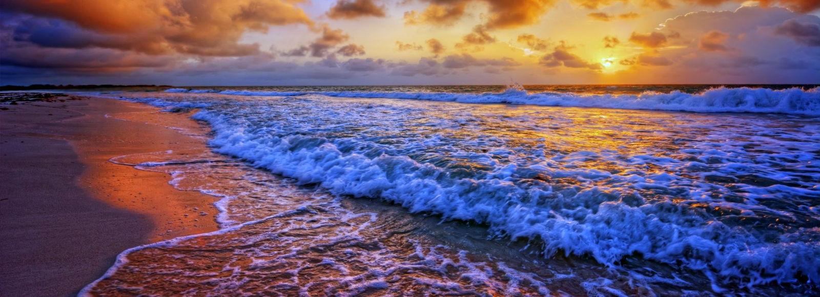 Marie Rose Beyer and Gabriel Ross's Wedding Registry on Zola