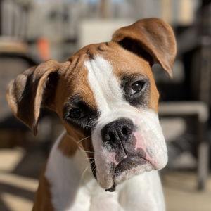 Taylor Lawson and Deven Mason's Wedding Registry on Zola