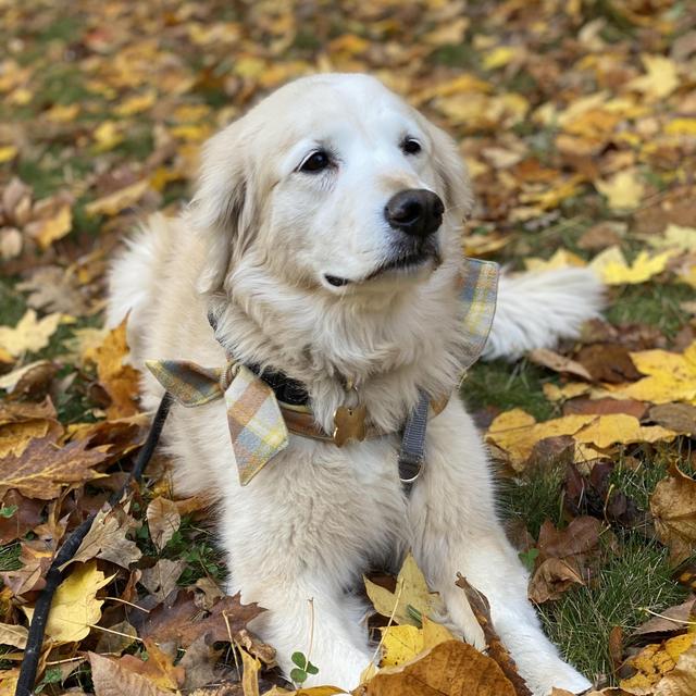 Kate McCormack and David McCormack's Wedding Registry on Zola