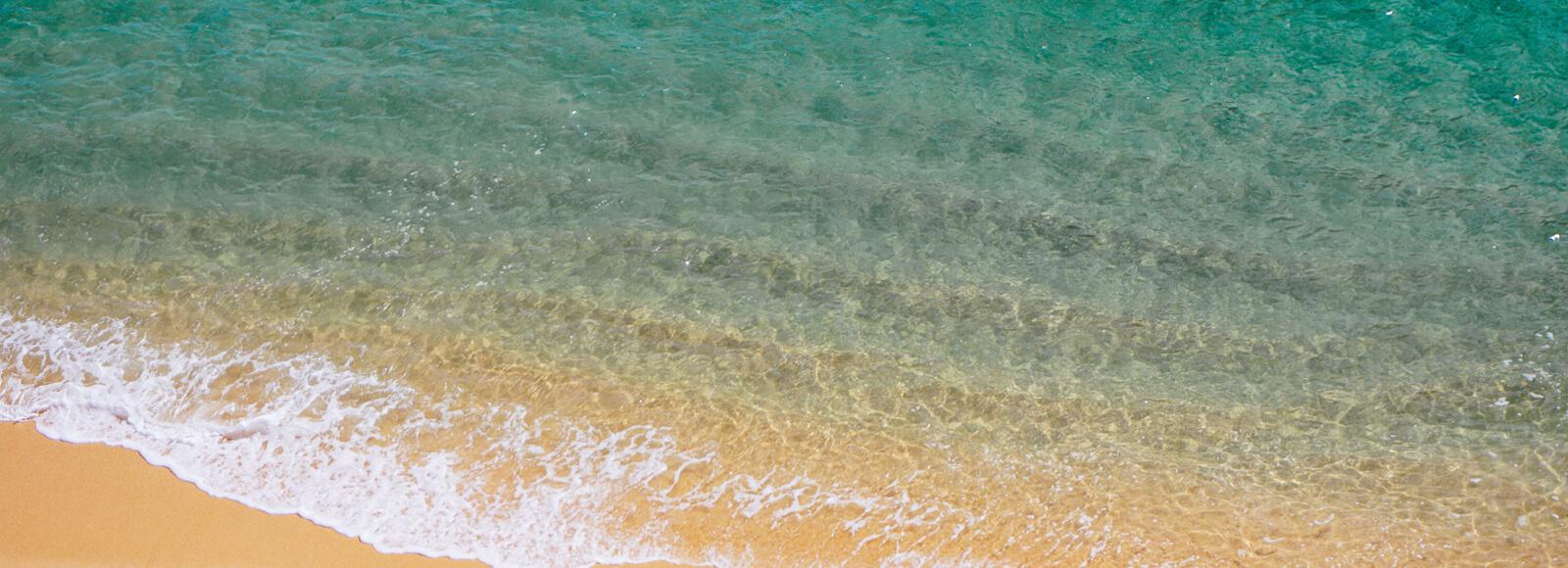 Taylor McDevitt and Nick Neeser's Wedding Registry on Zola