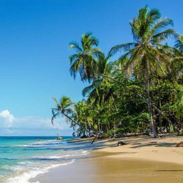 Megan Van Patten and Terrence Coleman's Wedding Registry on Zola