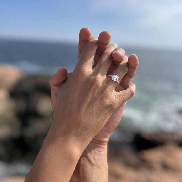 Mena Bakhit and Michelle Manious's Wedding Registry on Zola