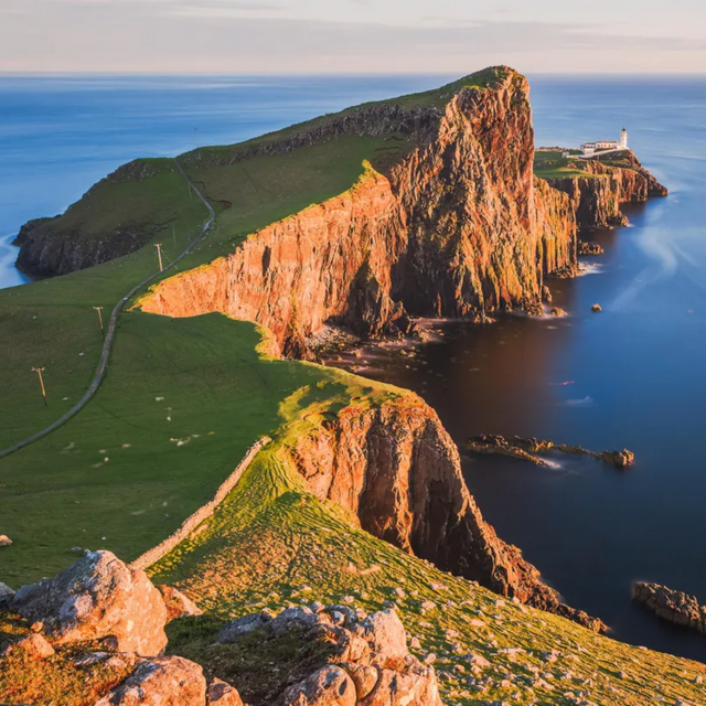 Meriwether Burruss and Mark Finegan's Wedding Registry on Zola