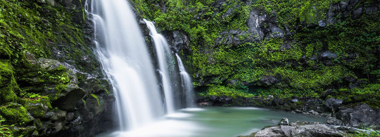 Alexis White and Micah Ericson's Wedding Registry on Zola