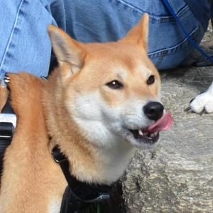 Michael Reichert and Thomas Easterday's Wedding Registry on Zola