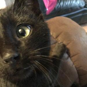 Michelle Meagher and Jason Castleberry's Wedding Registry on Zola