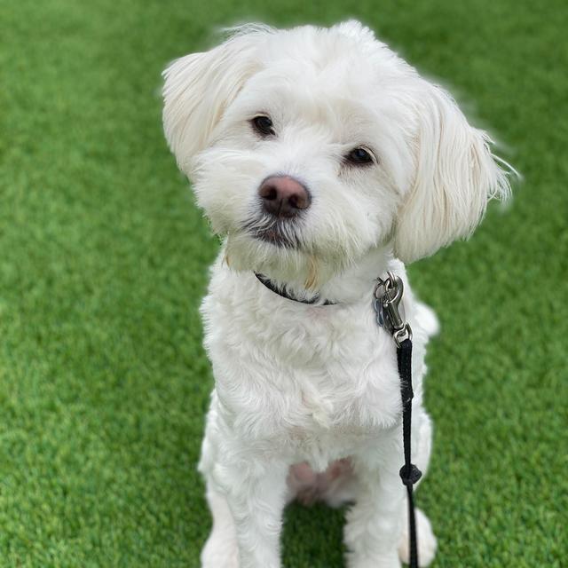 Lucky Byas and Mikey Robison's Wedding Registry on Zola