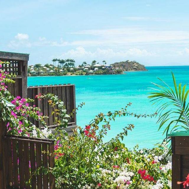 Morgan Lott and Brandon Beckner's Wedding Registry on Zola